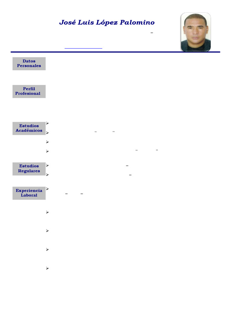 CV - José Luis López Palomino (Documentado) | PDF