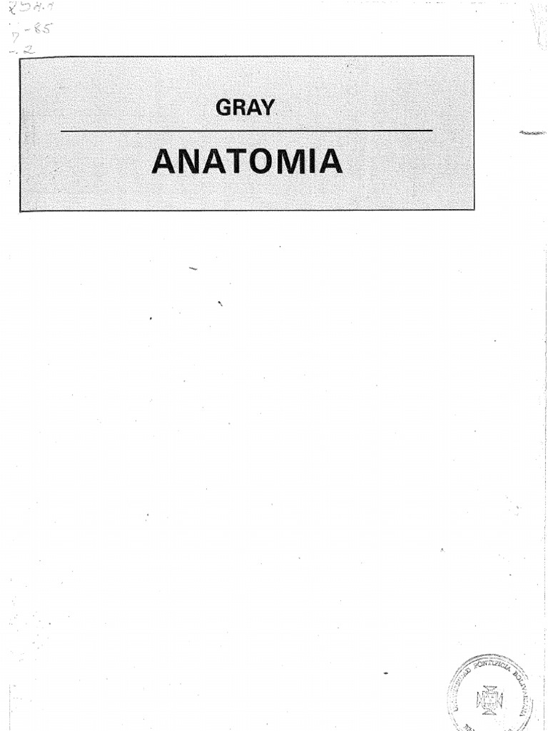 Anatomía de Grey - Tomo II | PDF