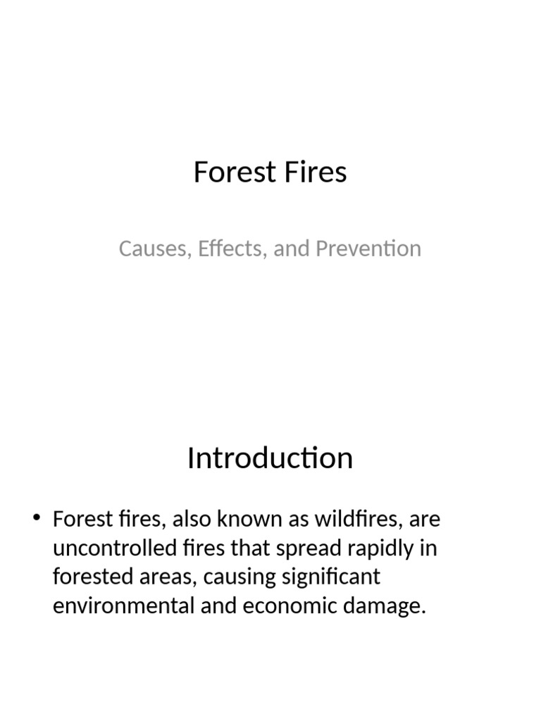 Causes and Prevention of Forest Fires | PDF