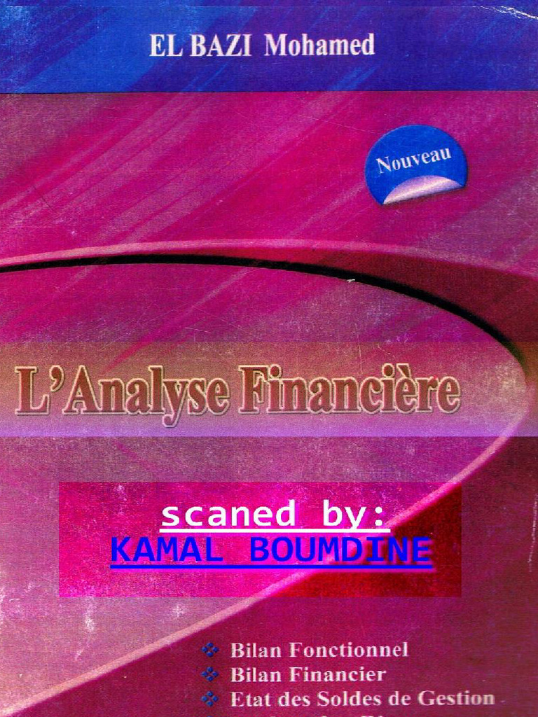 Analyse Financiere | PDF