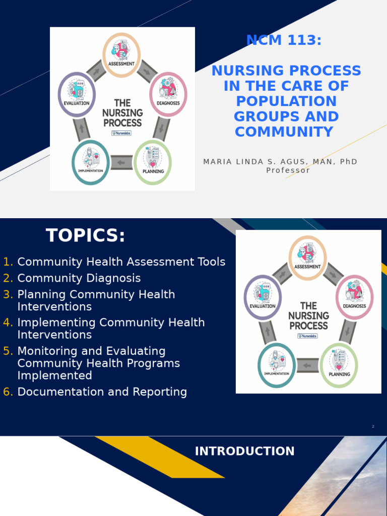 NCM 113 PPT Community Health Assessment To Students | PDF | Pie Chart ...
