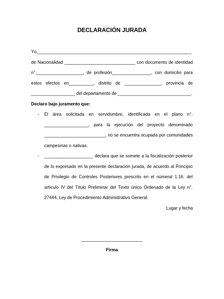 Modelo de Declaracion | PDF
