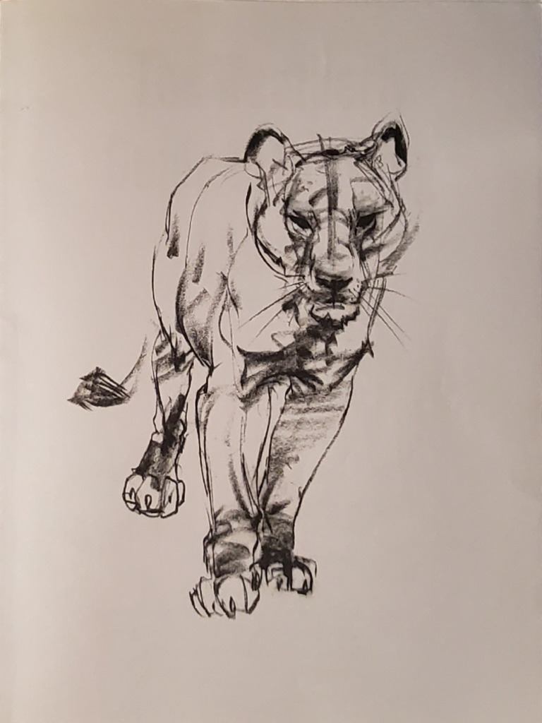 Guide To Drawing Animals Weatherly | PDF