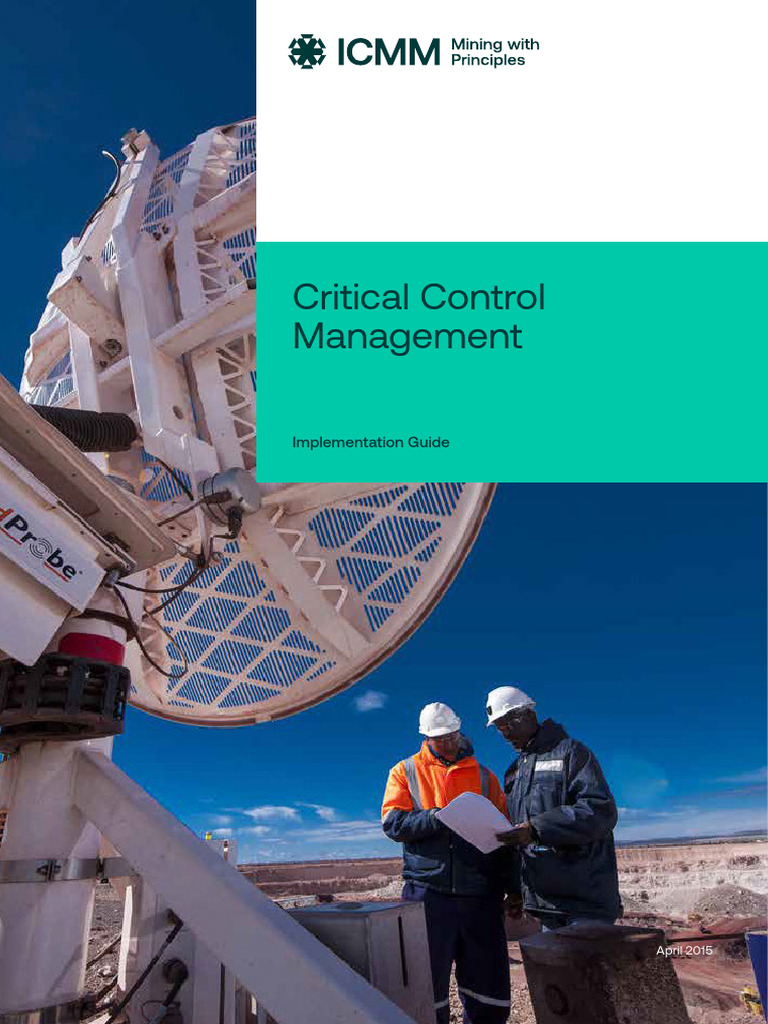 Guidance CCM Implementation | PDF | Risk | Governance