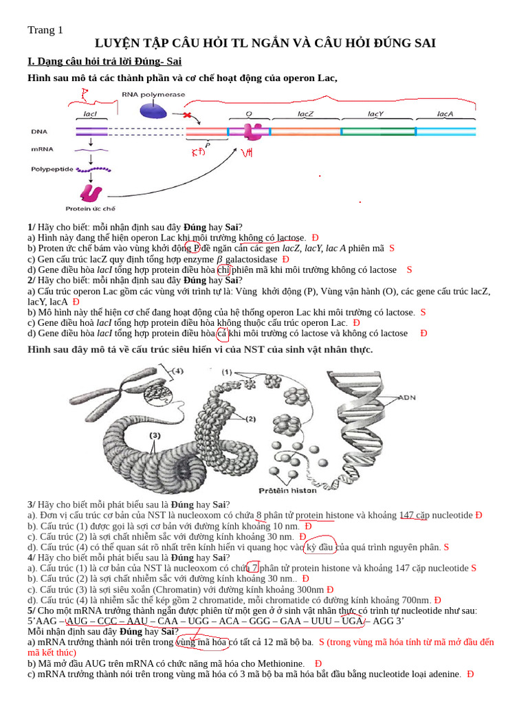 2025 -Bài tập Rèn luyện Đ- S và TLN co DA | PDF