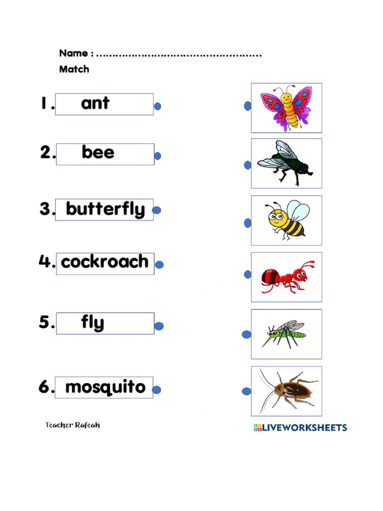 HTTPS:WWW Liveworksheets com:Es:Node:1217167:Download PDF | PDF