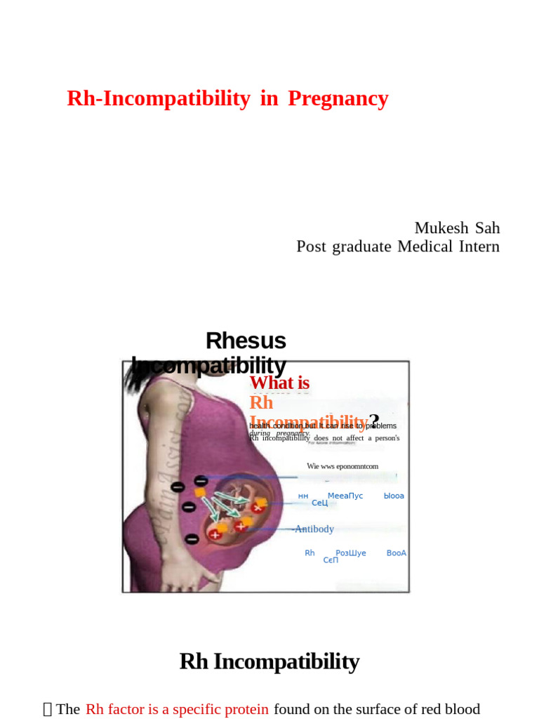 Rh Incompatibility in Pregnancy | PDF | Mammalian Pregnancy | Body Fluids