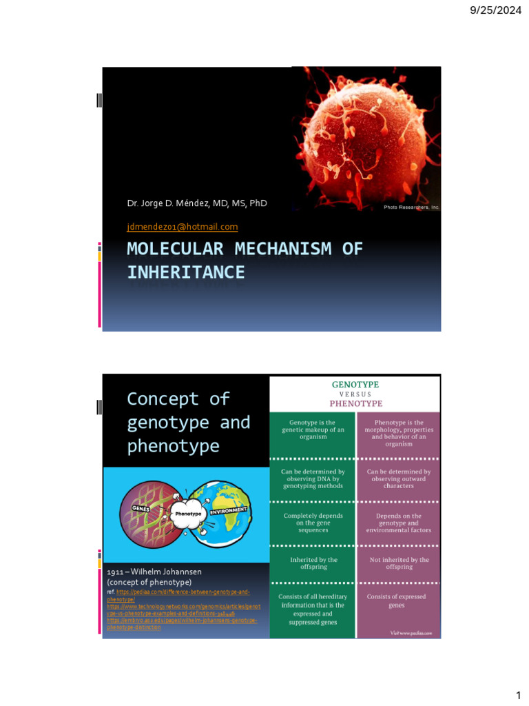 Clase 3a - Cell Cycle and Chromosomes | PDF | Meiosis | Mitosis