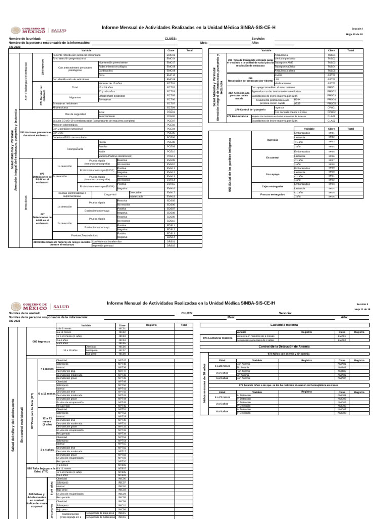 Nuevo Formato SIS HOJAS 8 - 045029 | PDF | Amamantamiento ...
