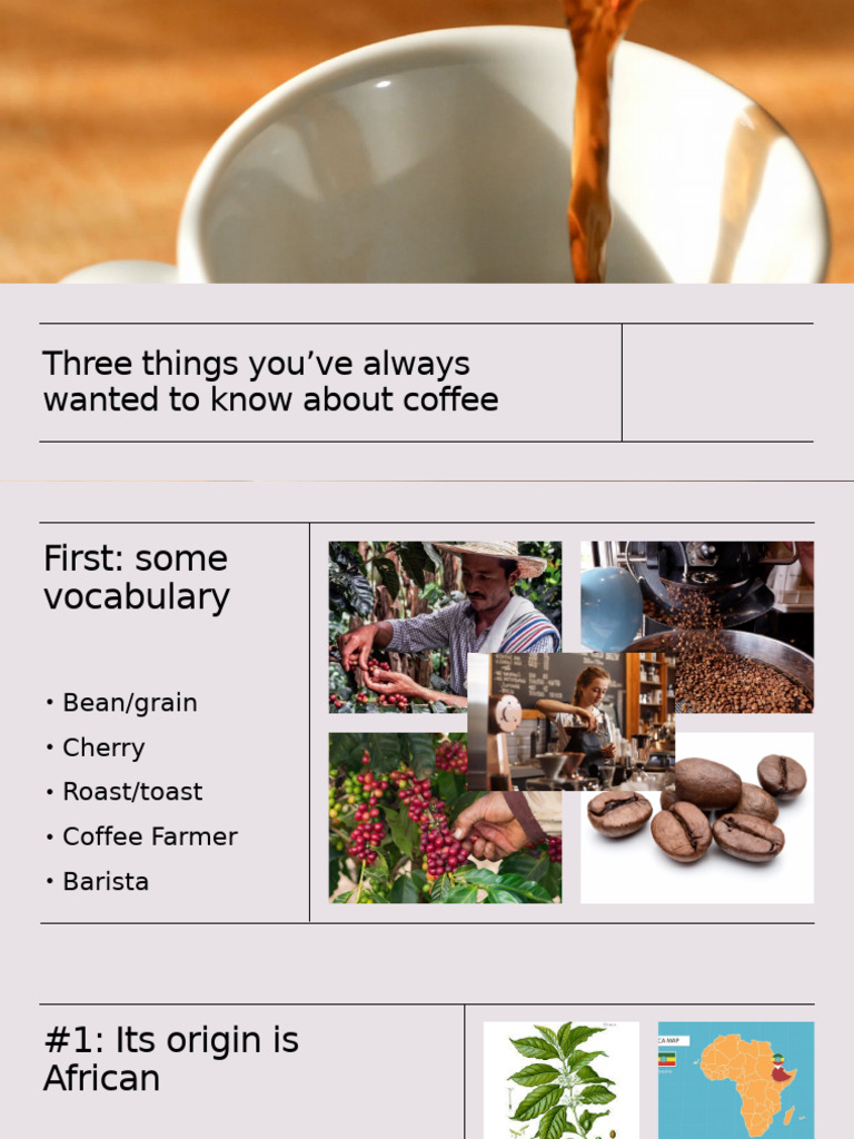 Coffee Oral Presentation | PDF