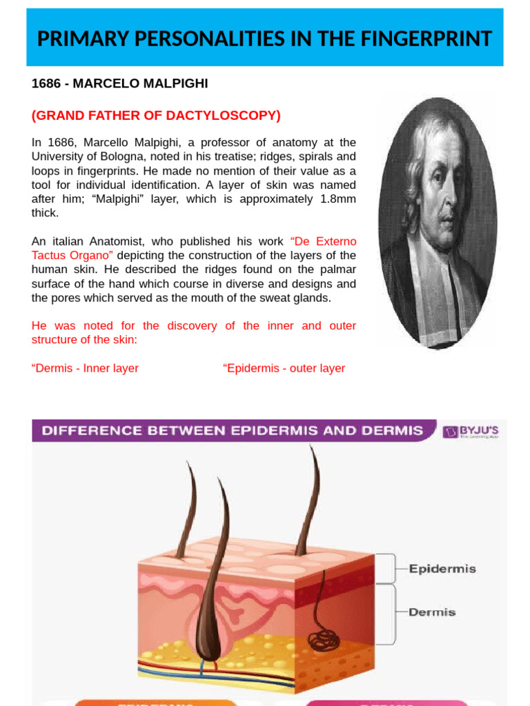 History of Fingerprint Identification | PDF | Fingerprint