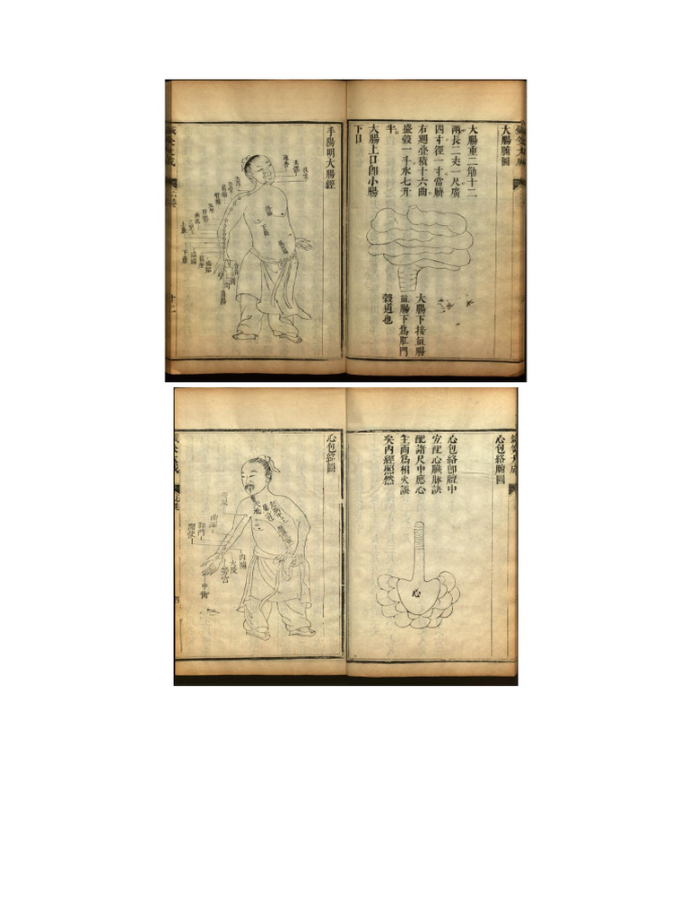 Acupoints Advanced | PDF