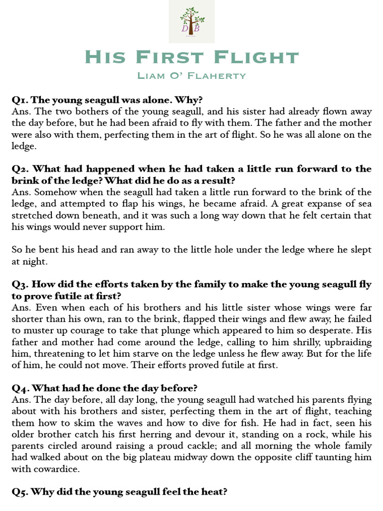 Young Seagull's First Flight | PDF | Birds | Zoology