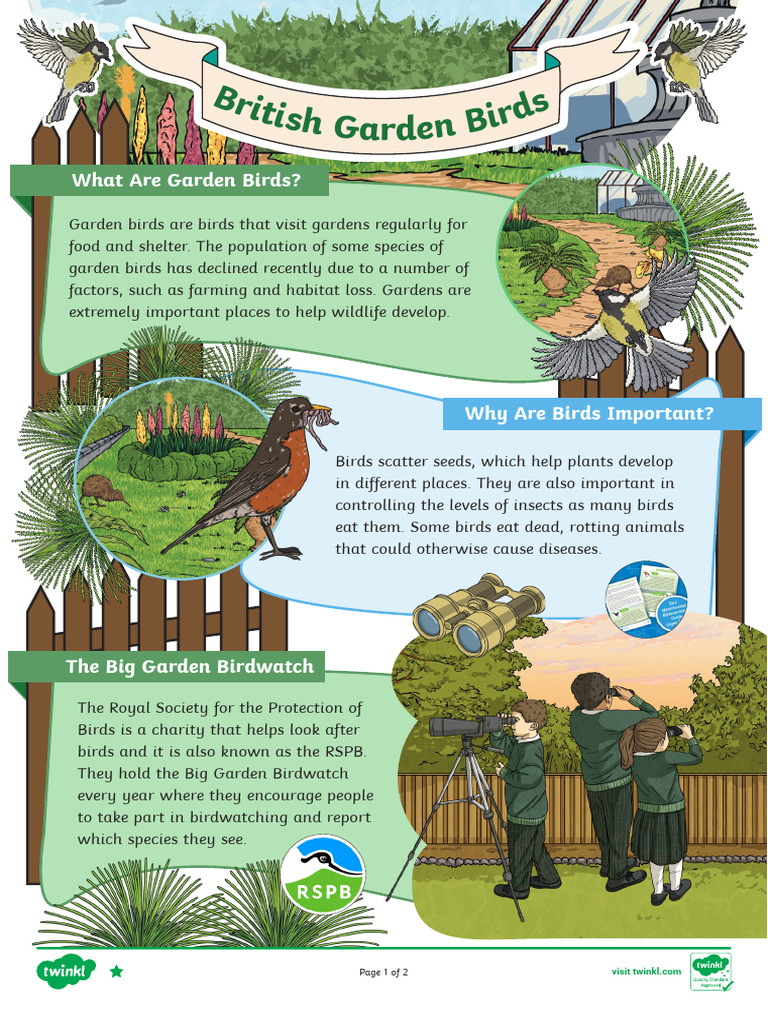 British Garden Birds | PDF | Birds | Birdwatching