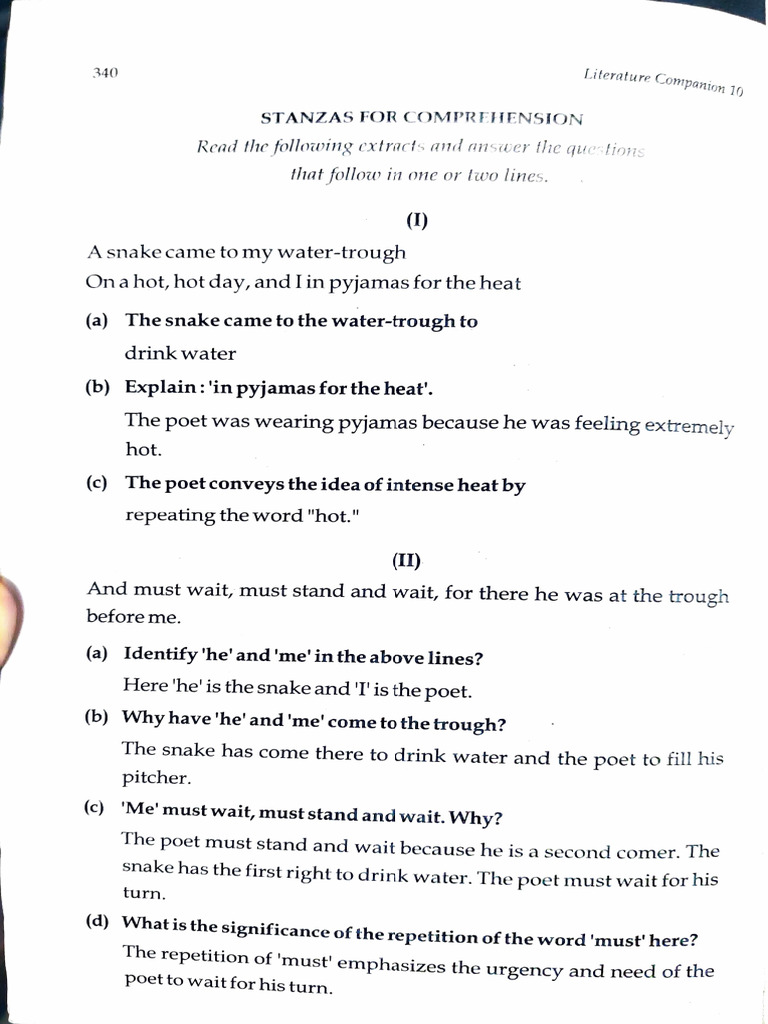 the snake | PDF | Snake