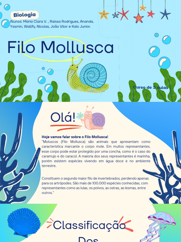 Filo Mollusca: Características e Classificação | PDF | Moluscos | Bivalvia
