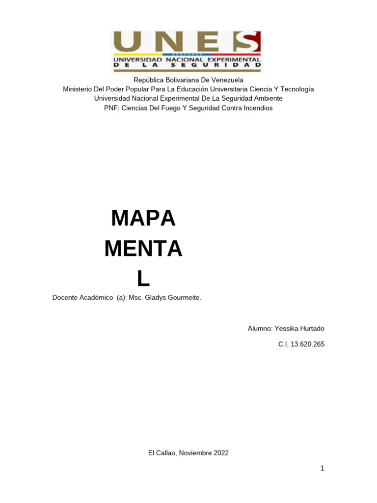 Informe Mapa Mental | PDF | Mente | Concepto
