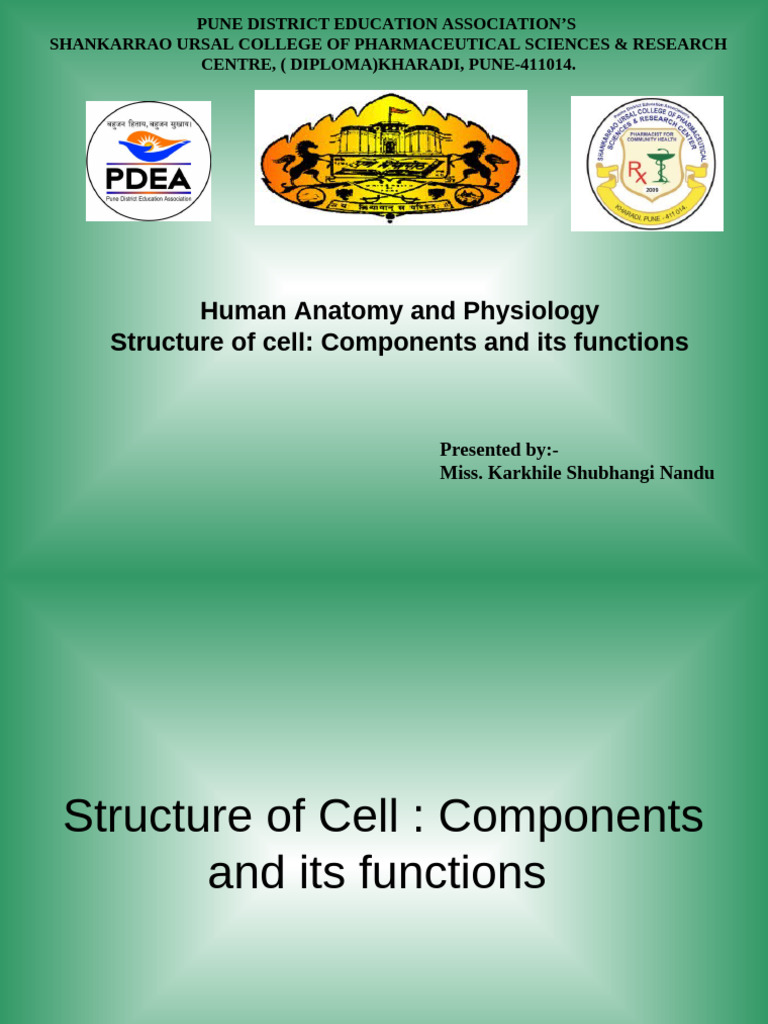 Cell Structure Function PPT (DIPLOMA) | PDF | Cell (Biology) | Cell Nucleus