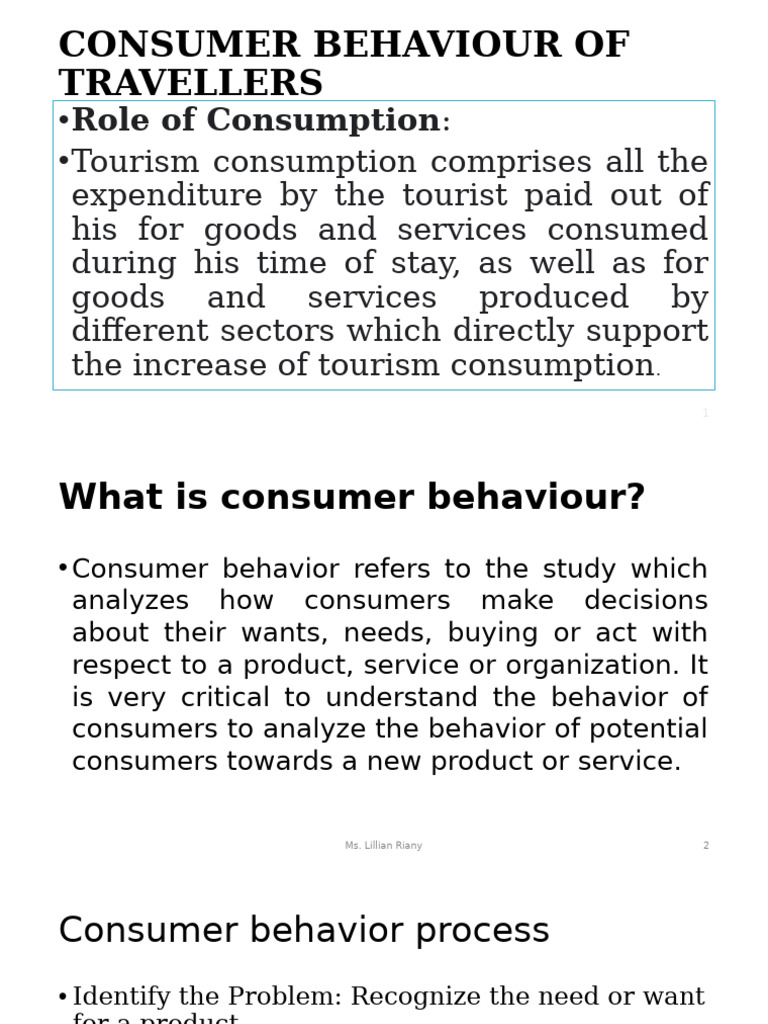 Understanding Traveler Consumer Behavior | PDF | Consumer Behaviour ...