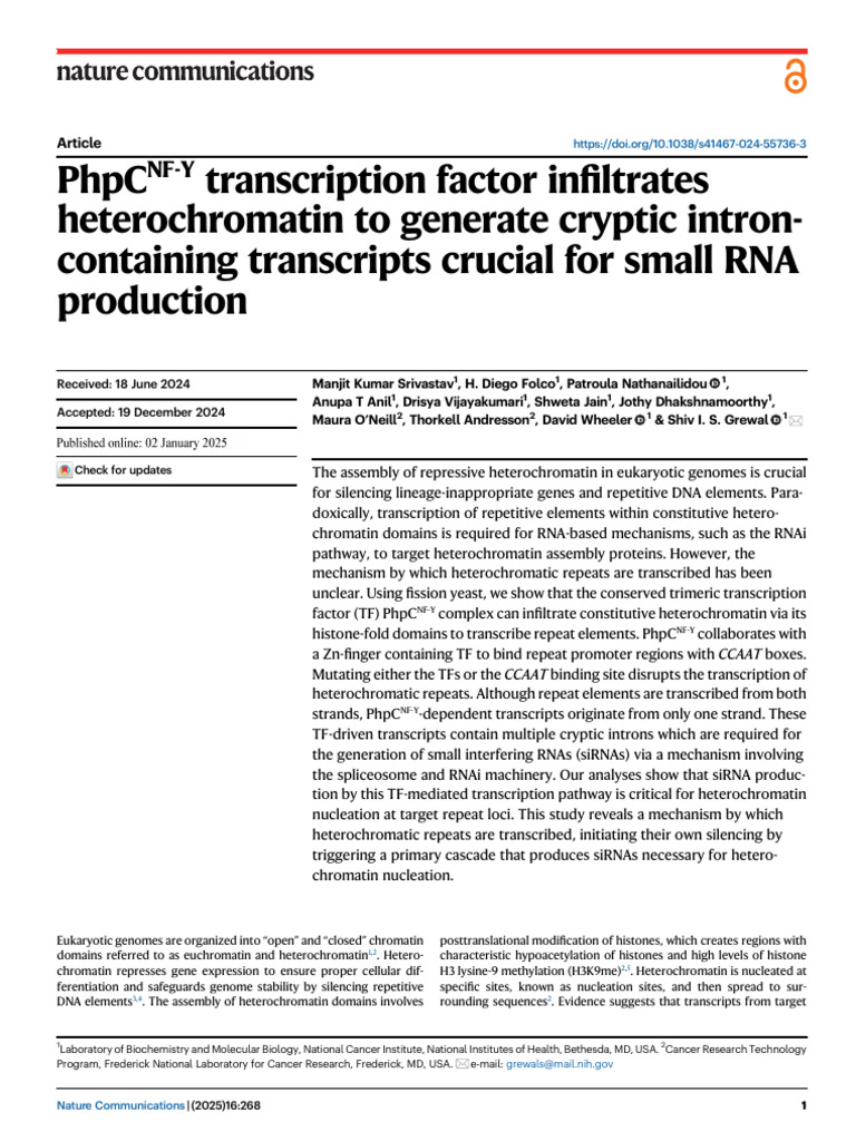 PhpCNF-Y Transcription Factor Infiltrates Heterochromatin To Generate ...
