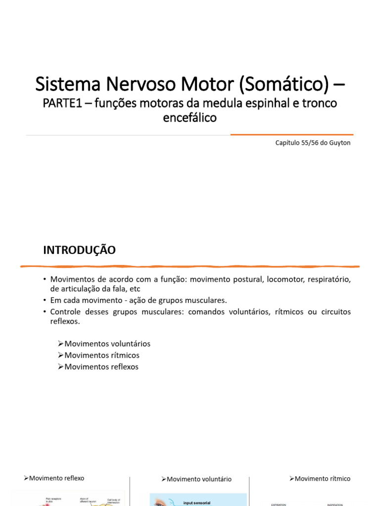 Sistema Nervoso Motor - p1!20!10 | PDF | Neurônio motor | Sistema vestibular