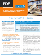 Accounts On Call | PDF