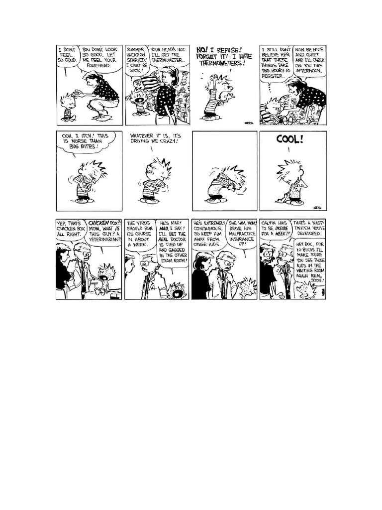 Calvin and Hobbes 1 | PDF
