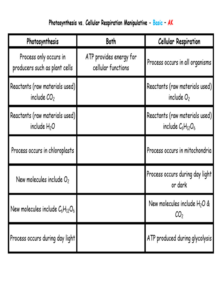 Photosynthesis vs. Cellular Respiration Manipulative | PDF