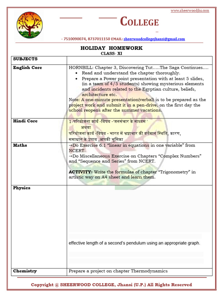 CLASS 11 Holiday Homework | PDF
