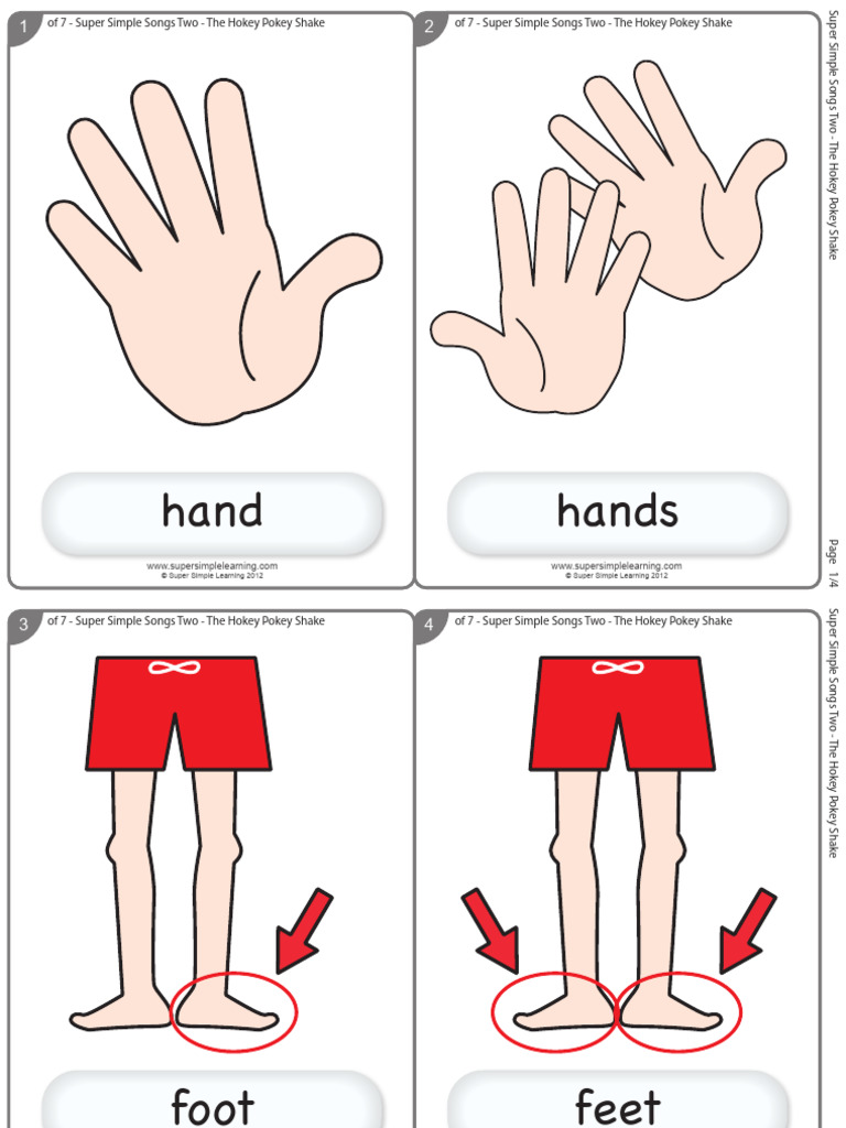 The Hokey Pokey Shake Sing It | PDF | Partner Dance | Song Recordings ...