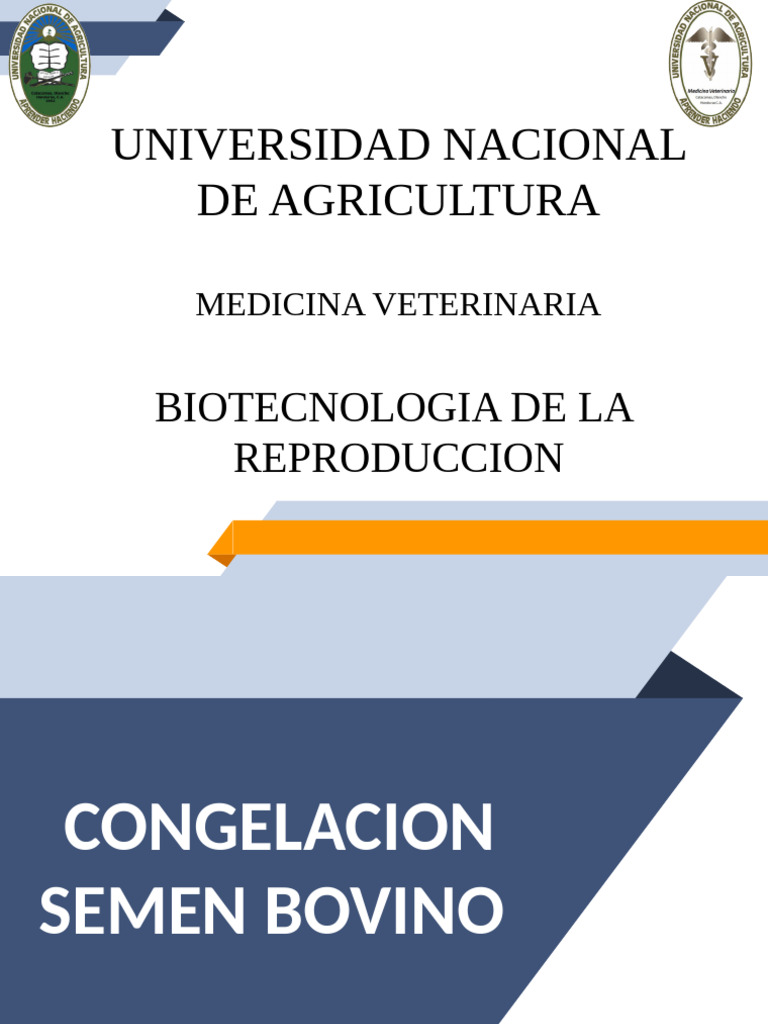 Congelacion Semen Bovino | PDF | Semen