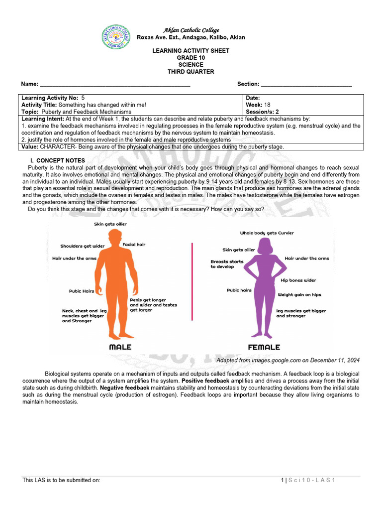 LAS-1-GRADE-10-Puberty (Edited) - 025606 | PDF | Puberty | Behavioural ...