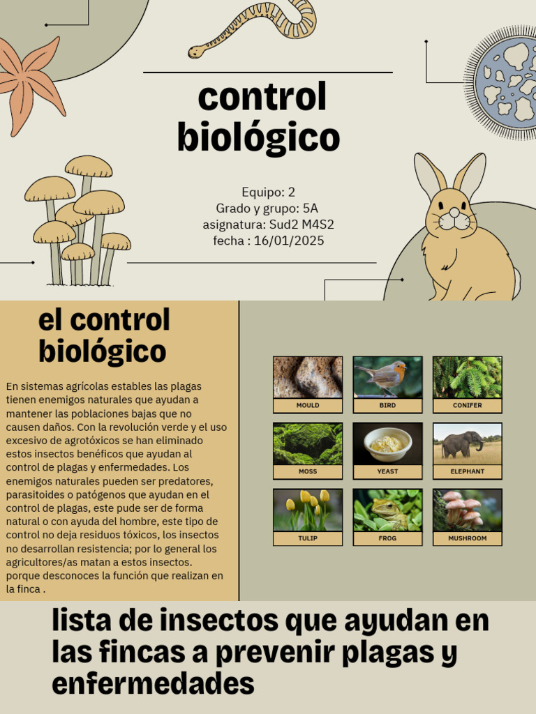 Control Biologico | PDF | Insectos | Control biológico de plagas