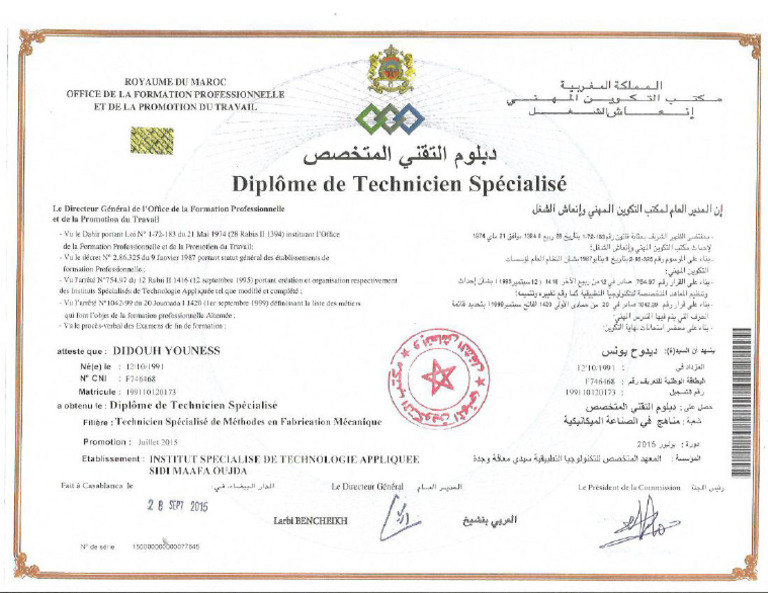 Diplome | PDF