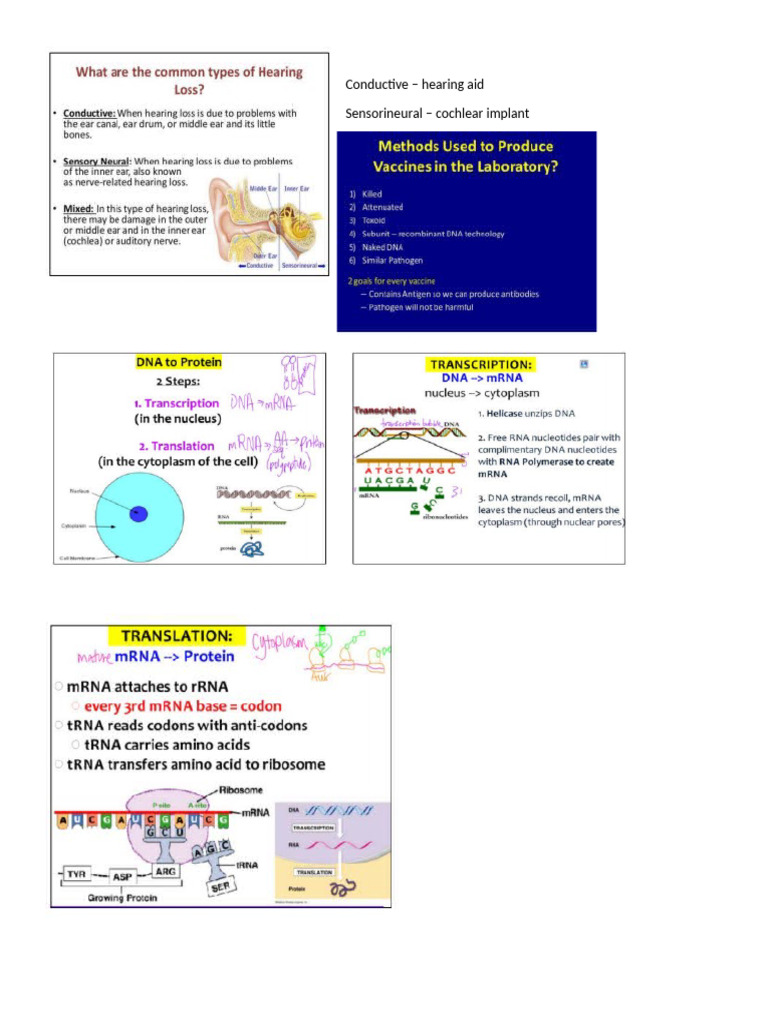 Review Unit 1 Diagrams | PDF