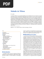 Test de Stroop Victoria : Guide d'utilisation | PDF | Attention | Vert