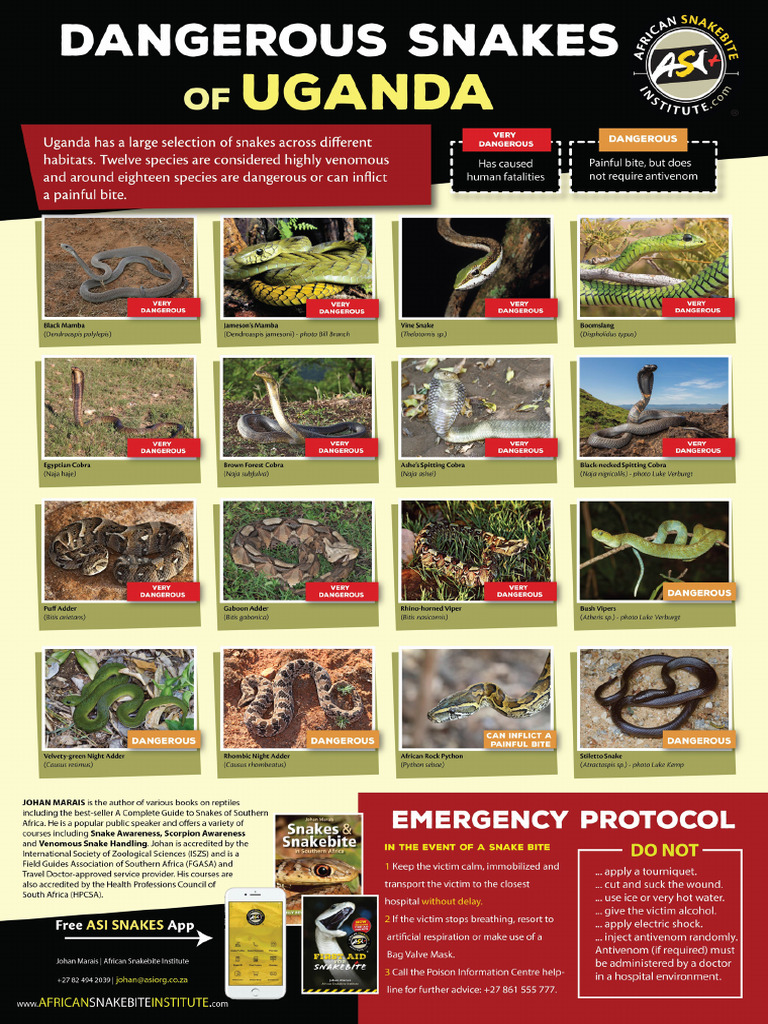 Venomous-Snakes-of-Uganda | PDF