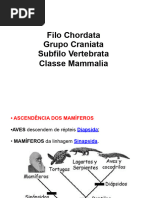 Vombate: Cocô em Forma de Cubo | PDF