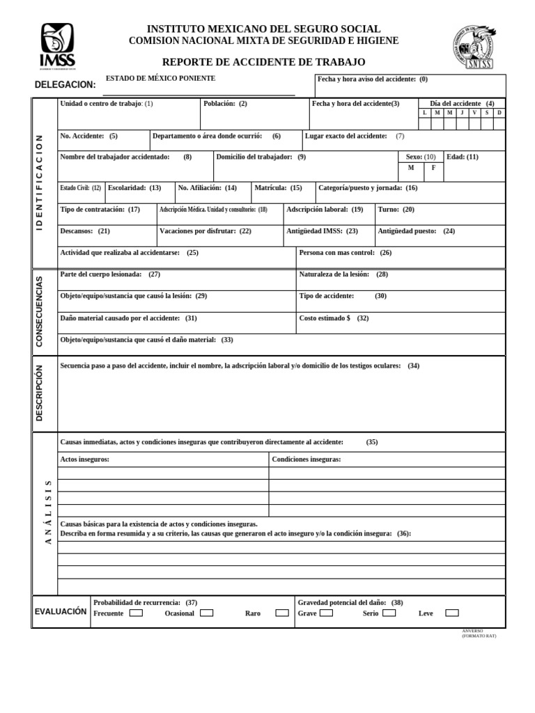 Formato Rat Vacio | PDF