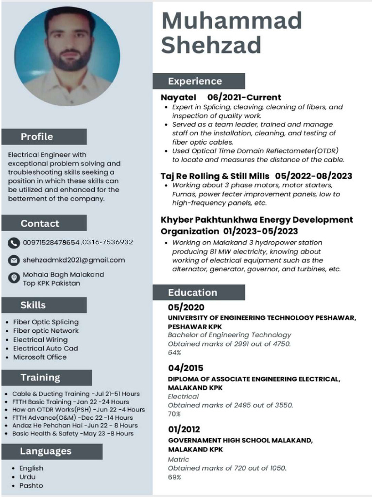 CV Template | PDF