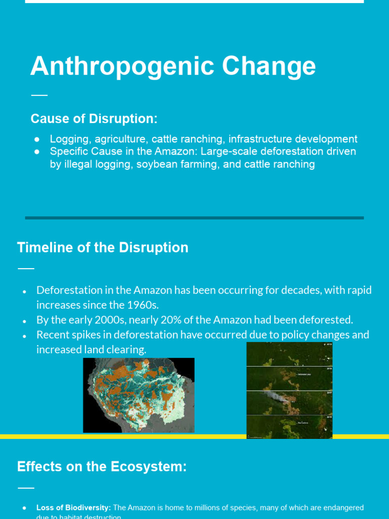 Deforestation in The Amazon Rainforest | PDF