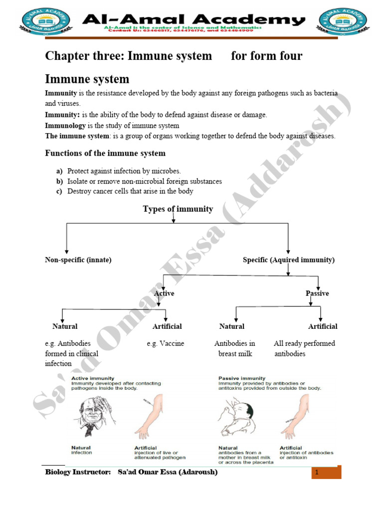 Immune System Al Amal 2-1 | PDF | Immune System | Antibody