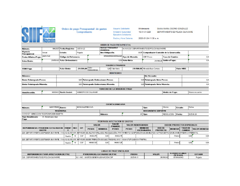 RPT Formato | PDF