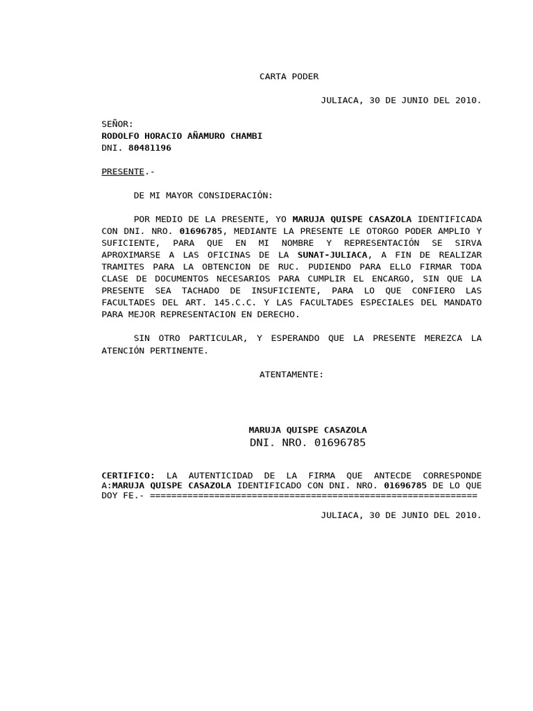 Carta Poder Tramite de Ruc | PDF