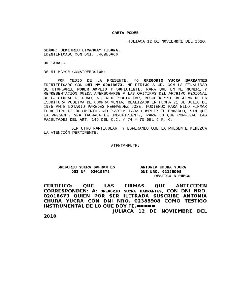 Carta Poder para Archivo Regional de Puno | PDF