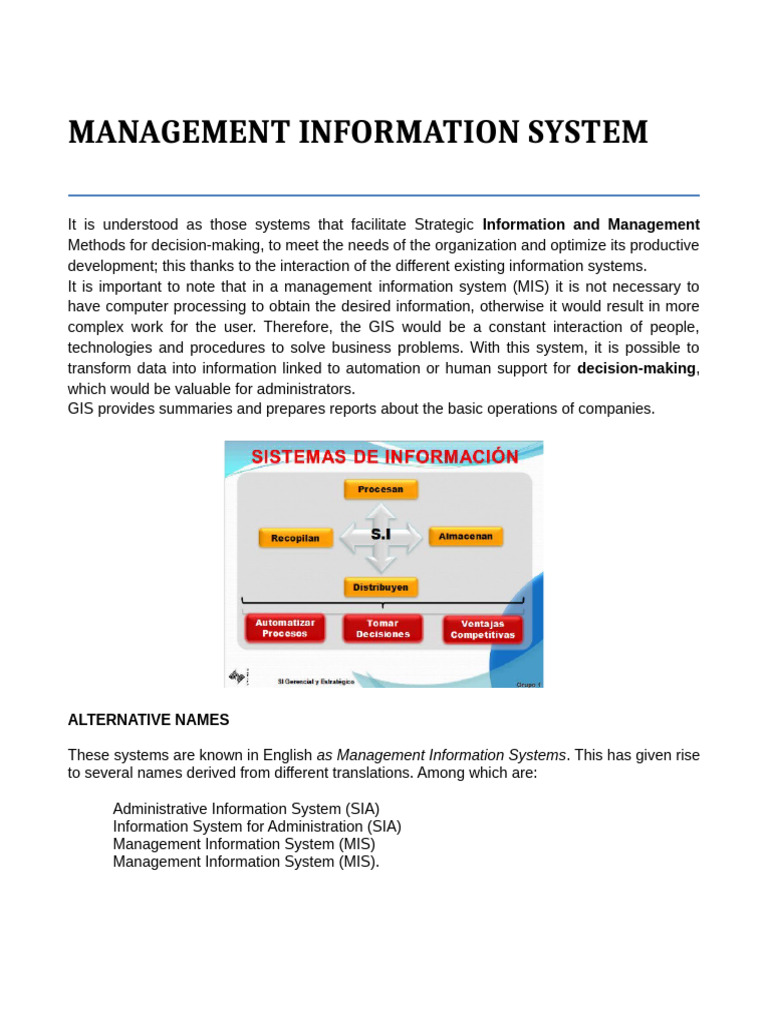 Management Information System (Report) | PDF | Strategic Management ...