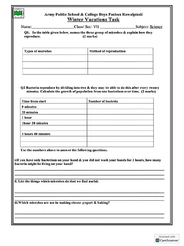 Winter Vacation Work Sci VII | PDF