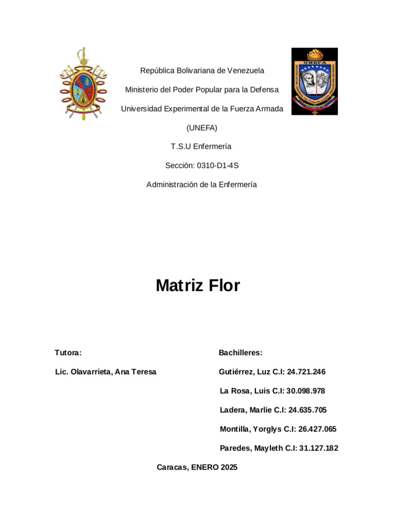 Matriz FLOR en Enfermería y Medicina | PDF | Enfermería | Análisis FODA