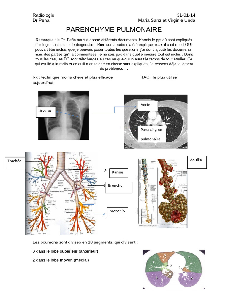 CM1.Parenchyme Pulmonaire | PDF | Aorte | Macrophage