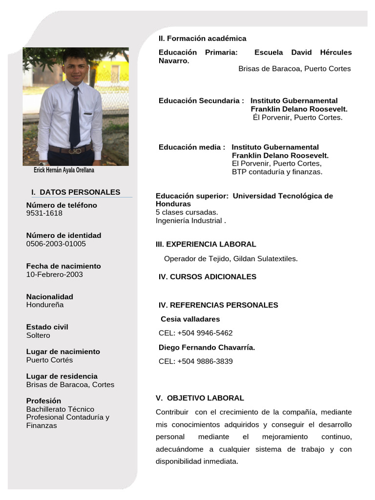 Curriculum de Erick | PDF